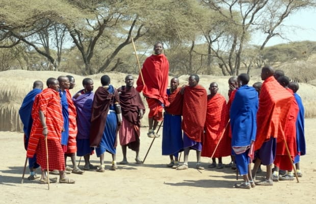 African Safari - Tanzania Wildlife safari, African Budget safaris and Tours